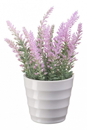 Растение в горшке (21x18 см) Вереск B14-lilac оптом и в розницу купить ...